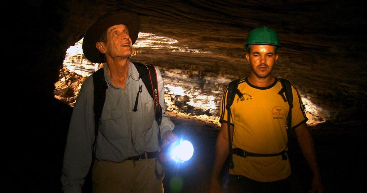 In the America's with David Yetman | Brazil: The Diamond Range | Season ...