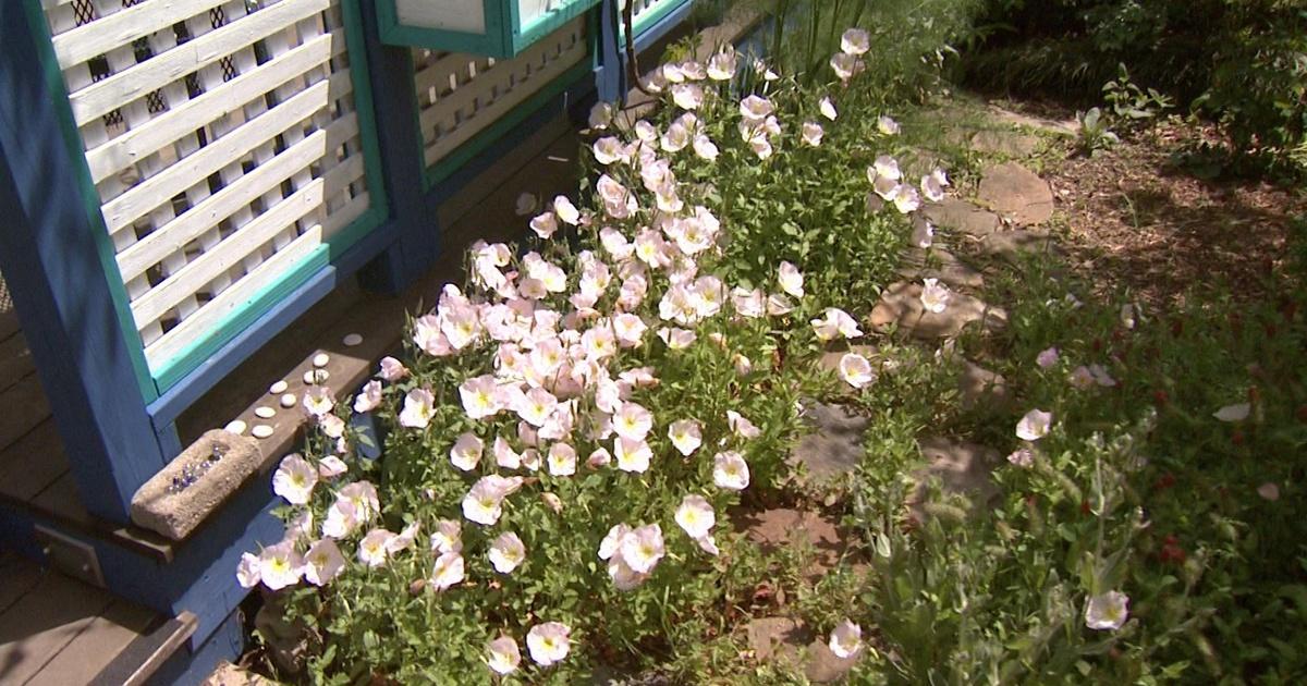 Almanac Gardener | Pattern Language | PBS