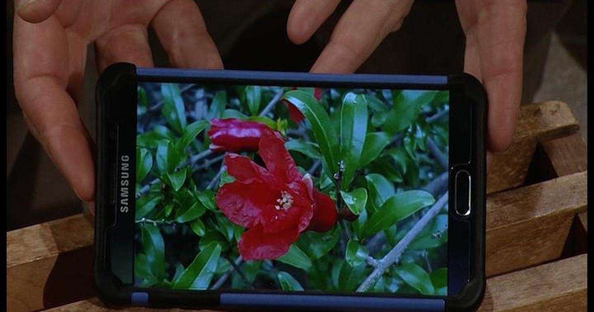 Almanac Gardener | Journalizing Your Plants | Season 3300 | Episode ...