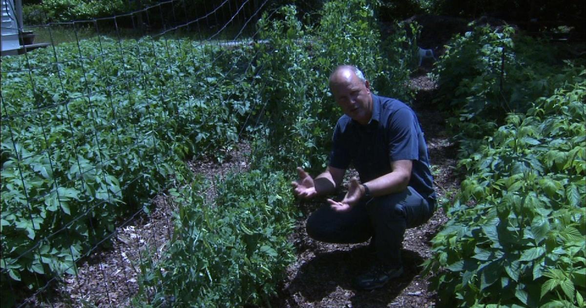 Almanac Gardener | Mating Problems | Season 3000 | Episode 3002 | PBS