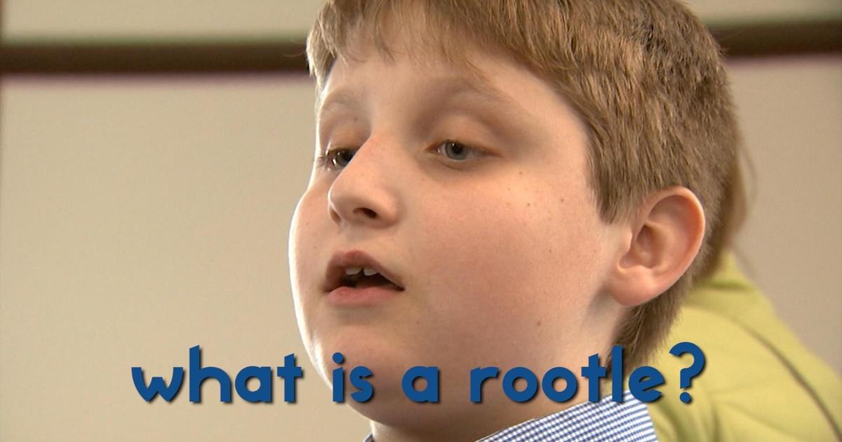 rootle | The ROOTLE Instrument! | PBS