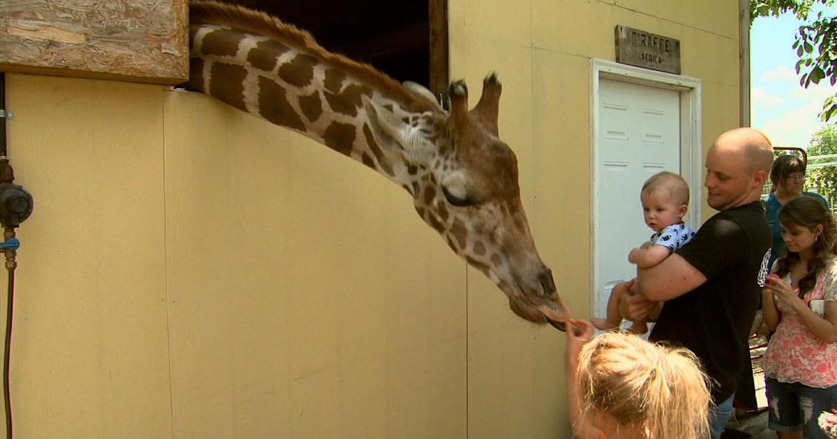 North Carolina Weekend | Aloha Safari Zoo | PBS