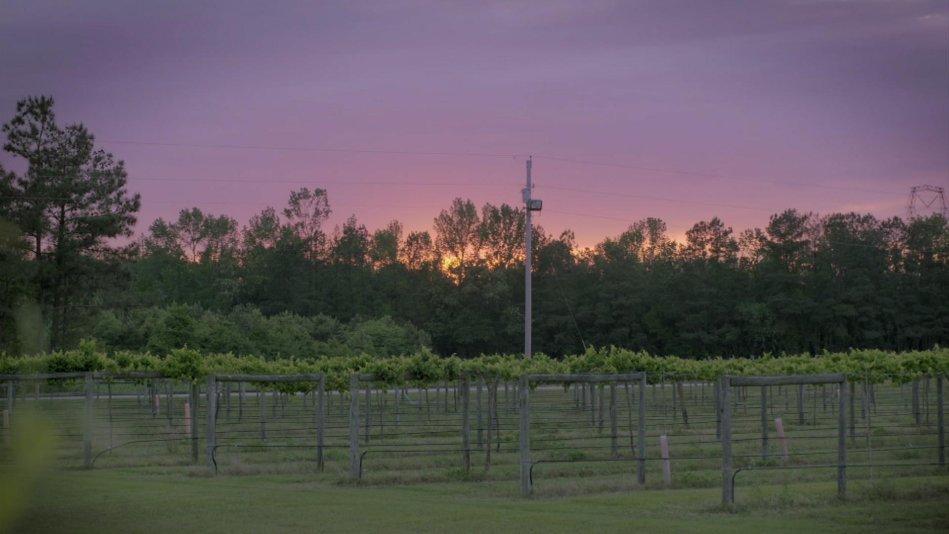 June 4, 2015 | North Carolina Weekend | ALL ARTS