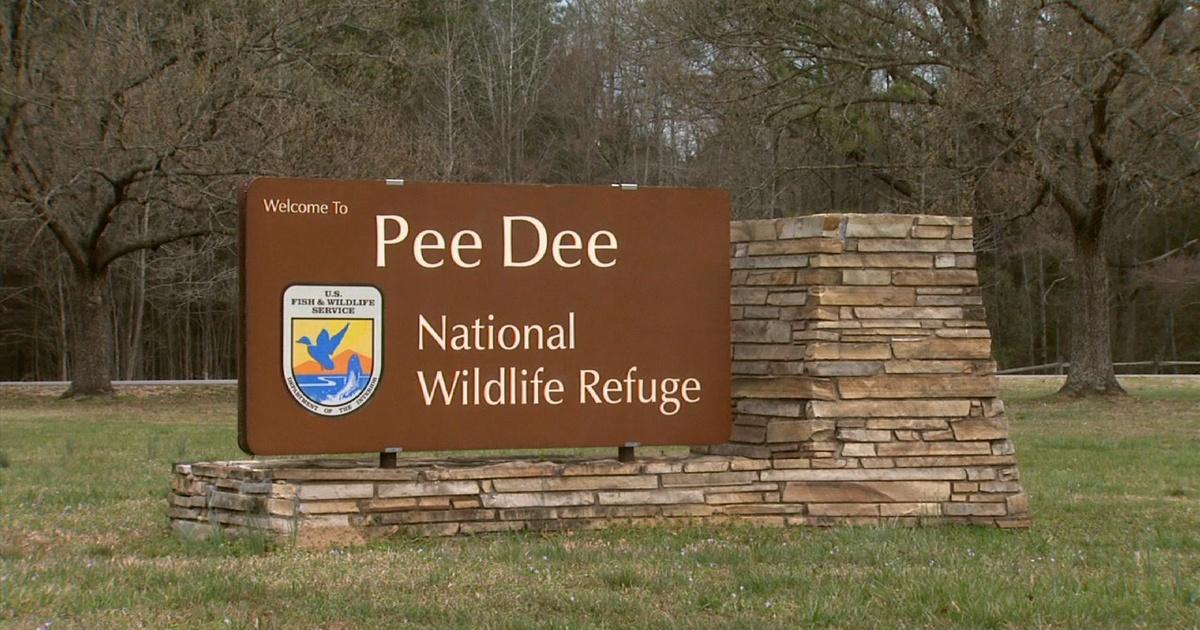 North Carolina Weekend | Pee Dee National Wildlife Refuge | PBS