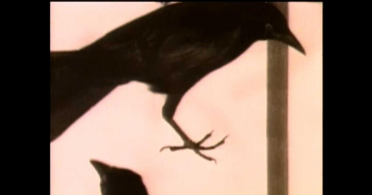 PBS NC Arts | The Rough South of Harry Crews | PBS