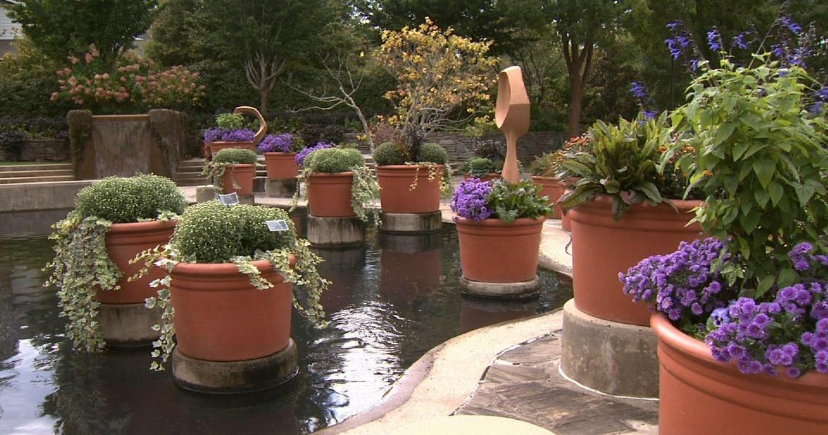 SCI NC | The Library of Plants | PBS