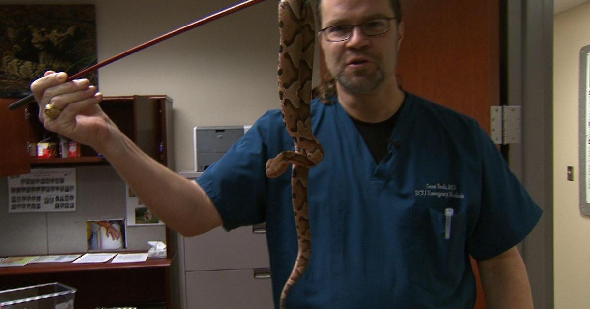 SCI NC | The Snake Doctor | PBS