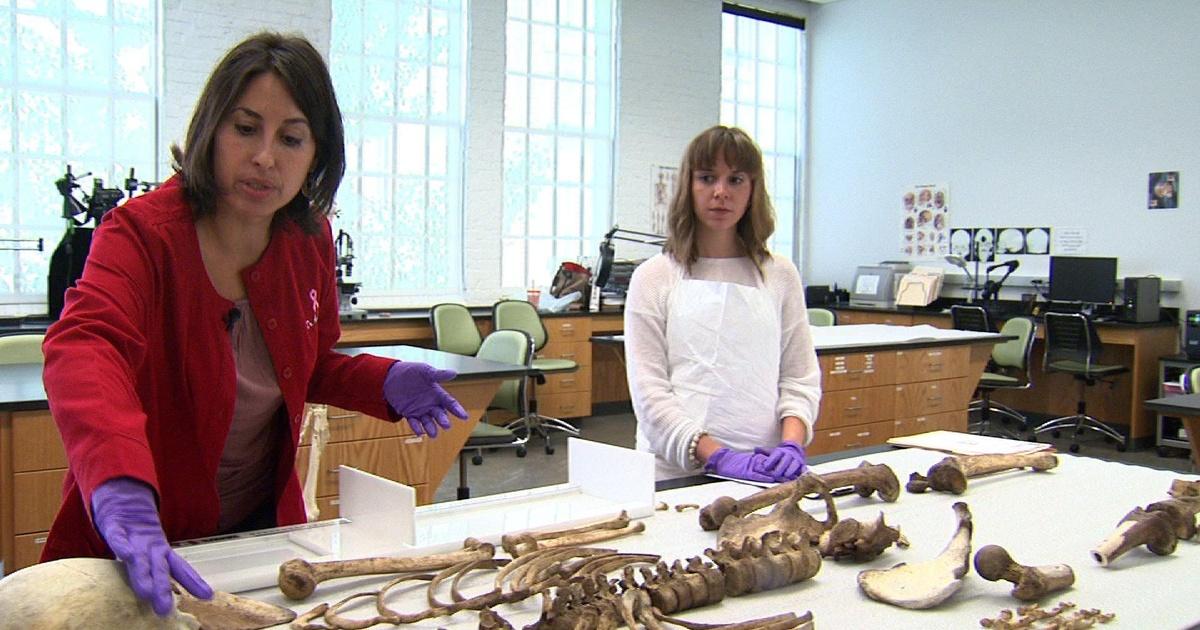 SCI NC | The Bone Lab | PBS