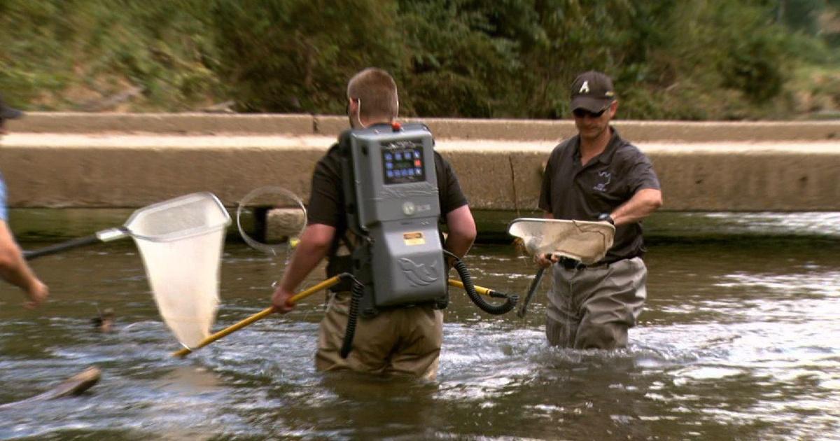 SCI NC | We All Live Downstream | PBS