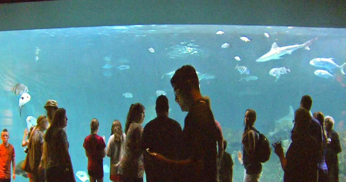 UNC-TV Science | NC Science Now Special: Up Close & Coastal | PBS