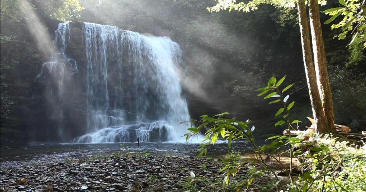 UNC-TV Science | Gorges State Park | PBS