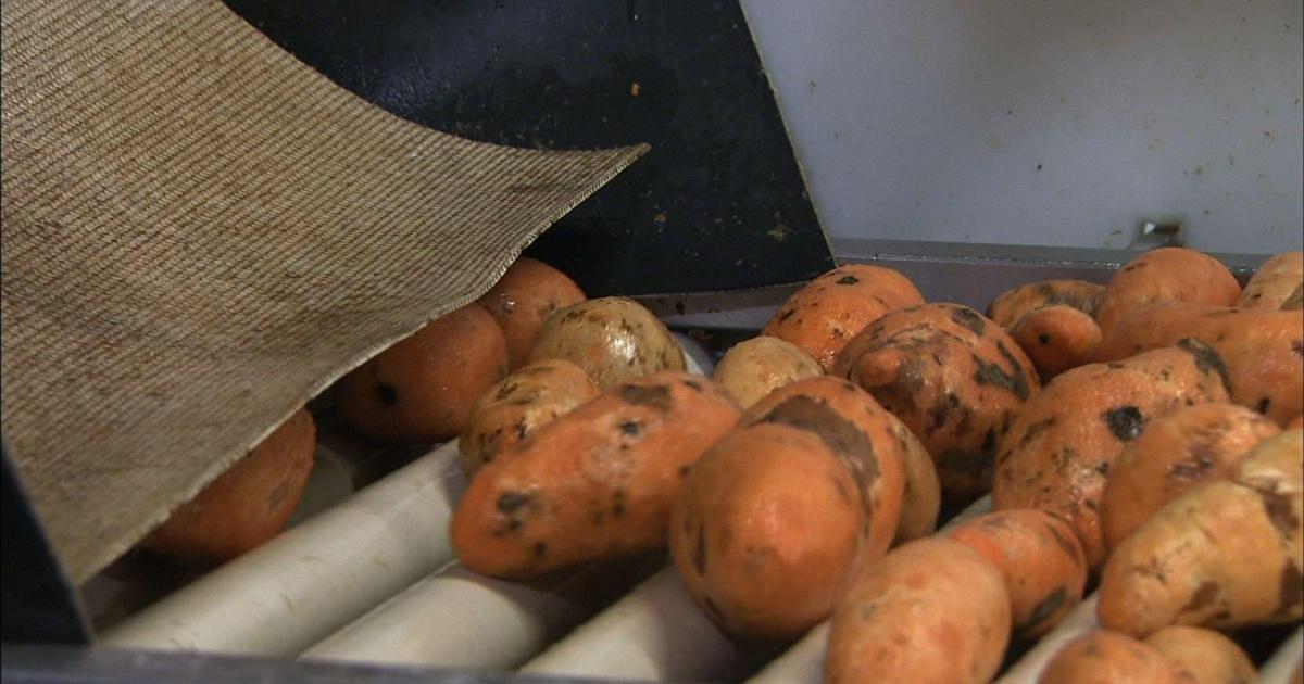 UNC-TV Science | Yamco | PBS