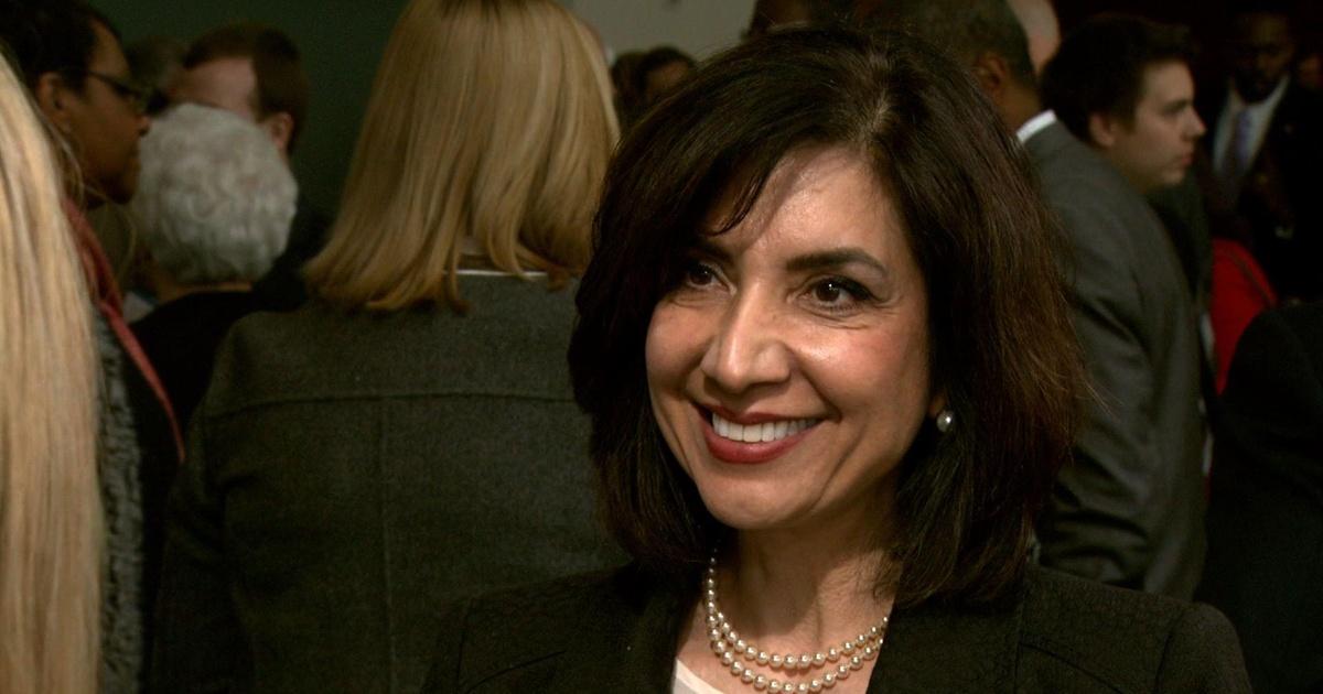 Sepi Saidi | Emerging Issues Forum | The University of North Carolina A ...