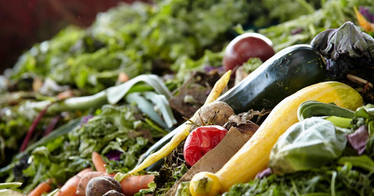 Rhode Island Pbs Weekly Green Seeker What A Waste Season 4