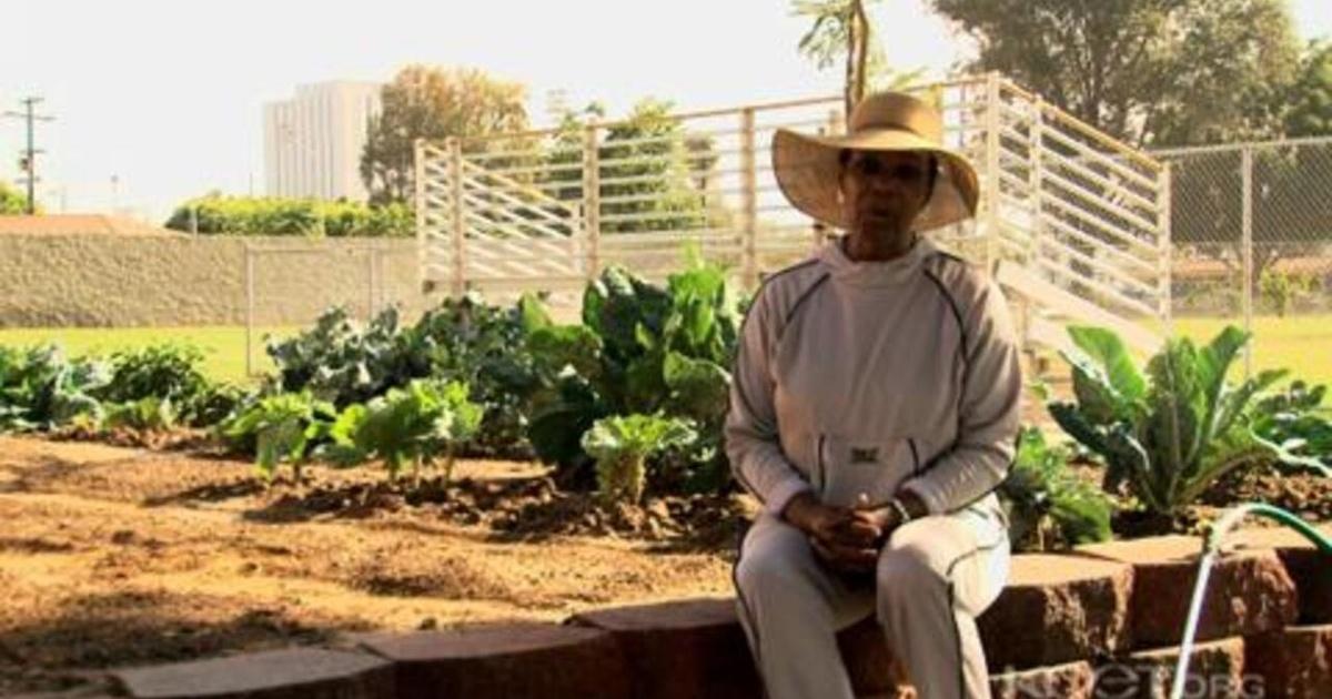 Departures | Mildred Johnson - About the Raymond Park Garden | PBS