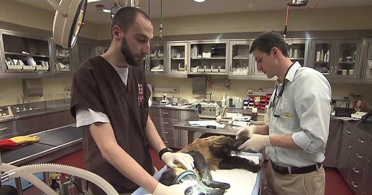 Great Job! | Dr. Mike Selig, Cleveland Metroparks Zoo | PBS