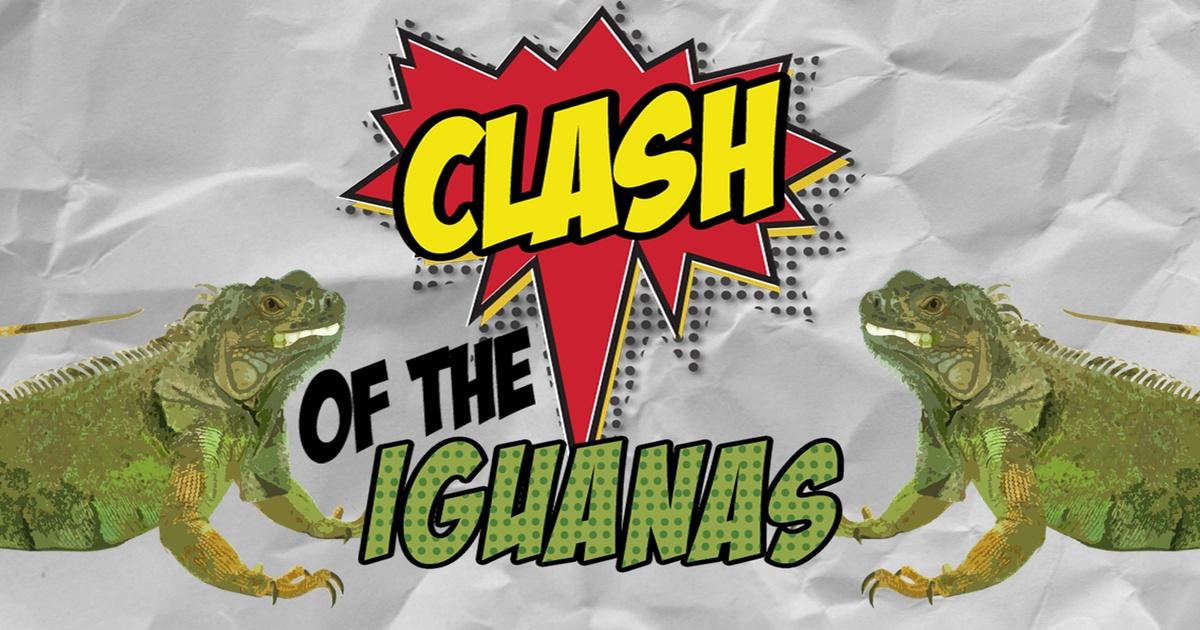 Math Mess | Clash of the Iguanas | PBS