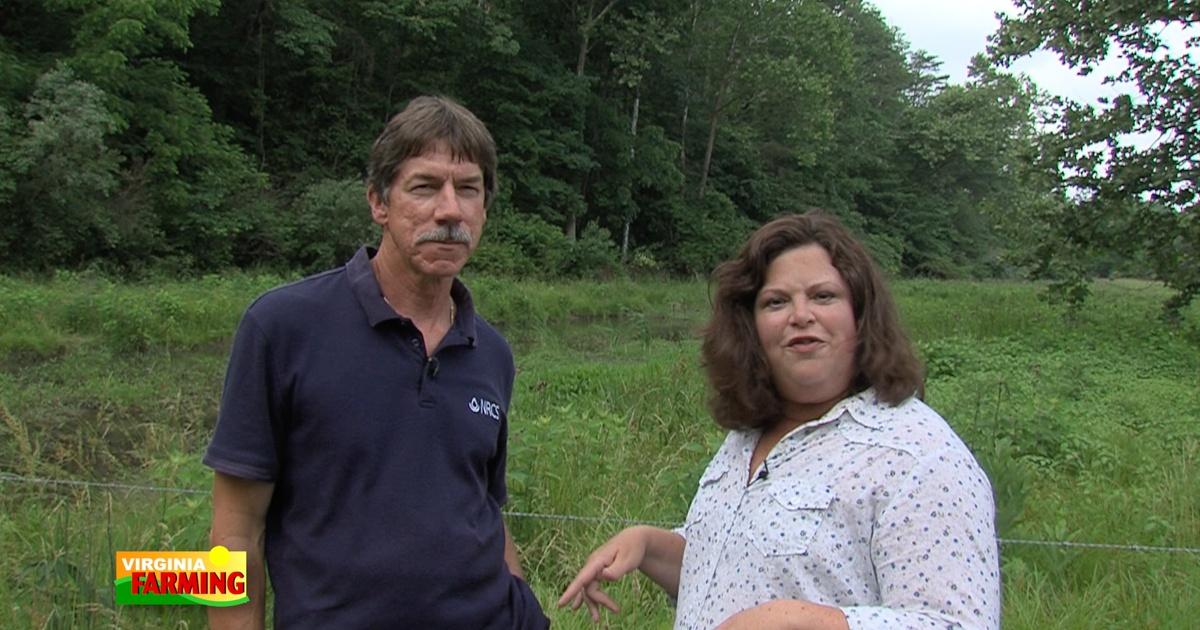 Virginia Farming | Virginia Farming - Civil War Battlefields with Mike ...