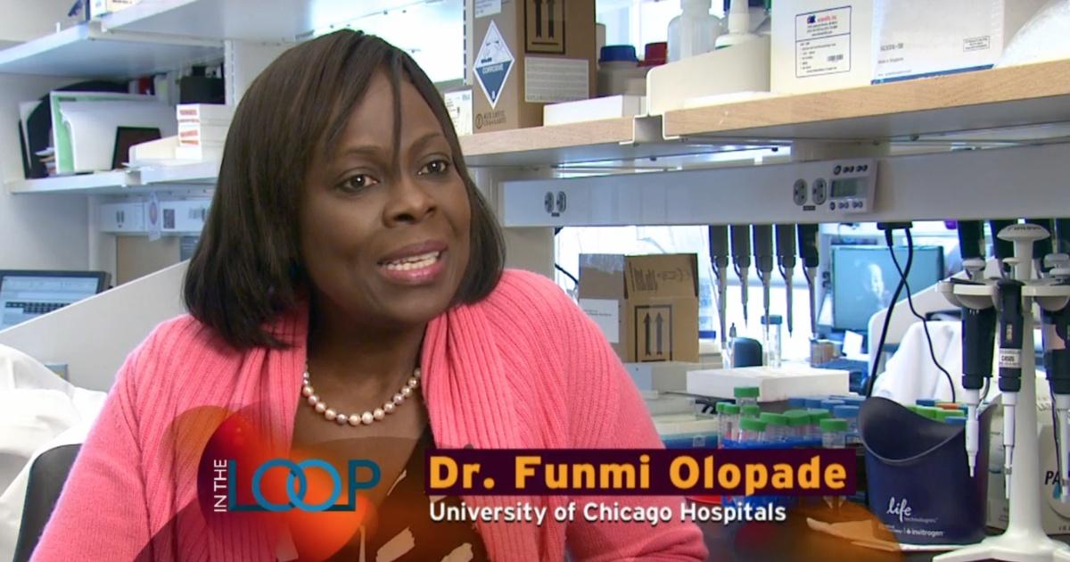 In The Loop | Types of Breast Cancers | PBS
