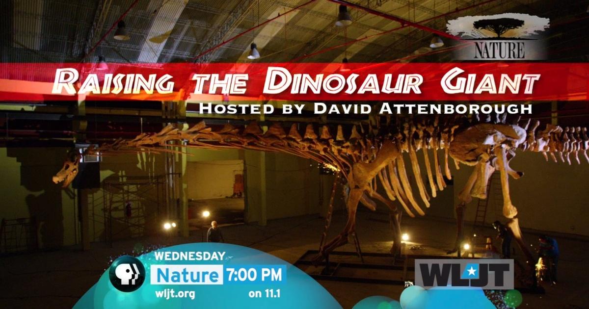West TN PBS | NATURE: Raising the Dinosaur Giant | PBS