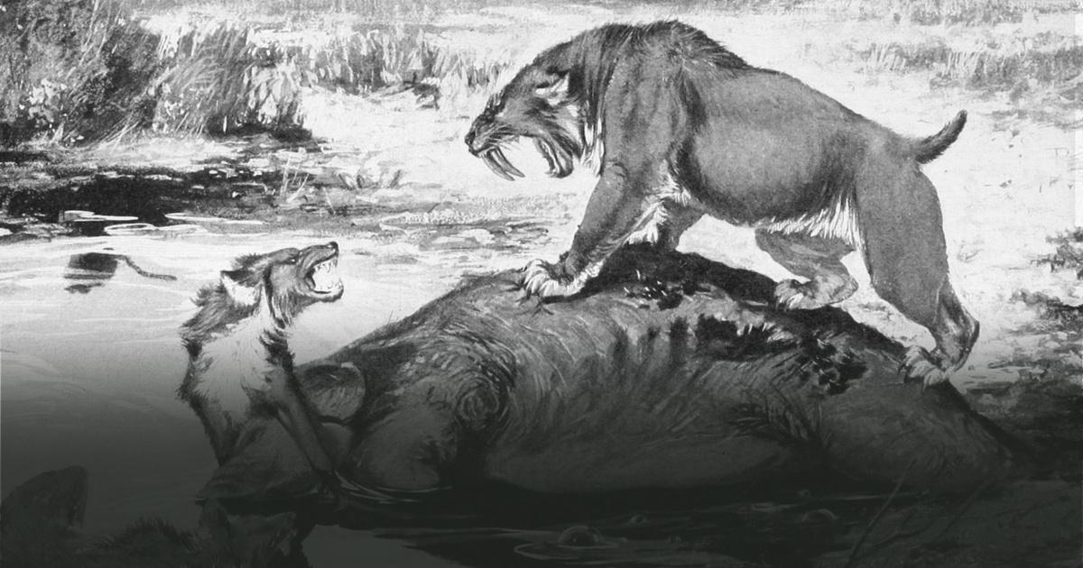 Eons Podcast | The Only Human Found in the La Brea Tar Pits | Season 1 ...