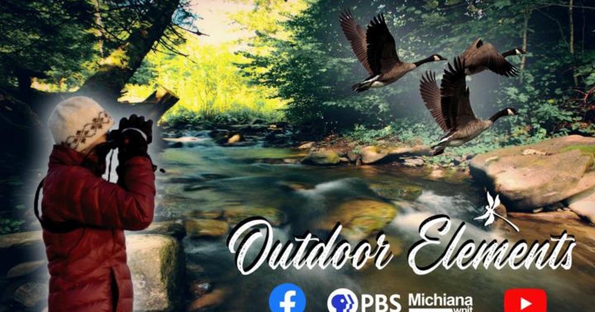 Outdoor Elements | August 13th, 2023 | Season 19 | Episode 32 | PBS