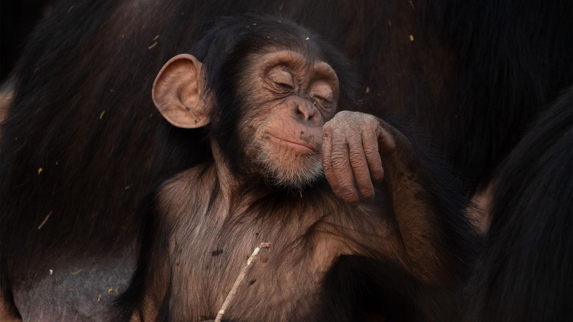 Episode 1 Preview | Evolution Earth | WLIW