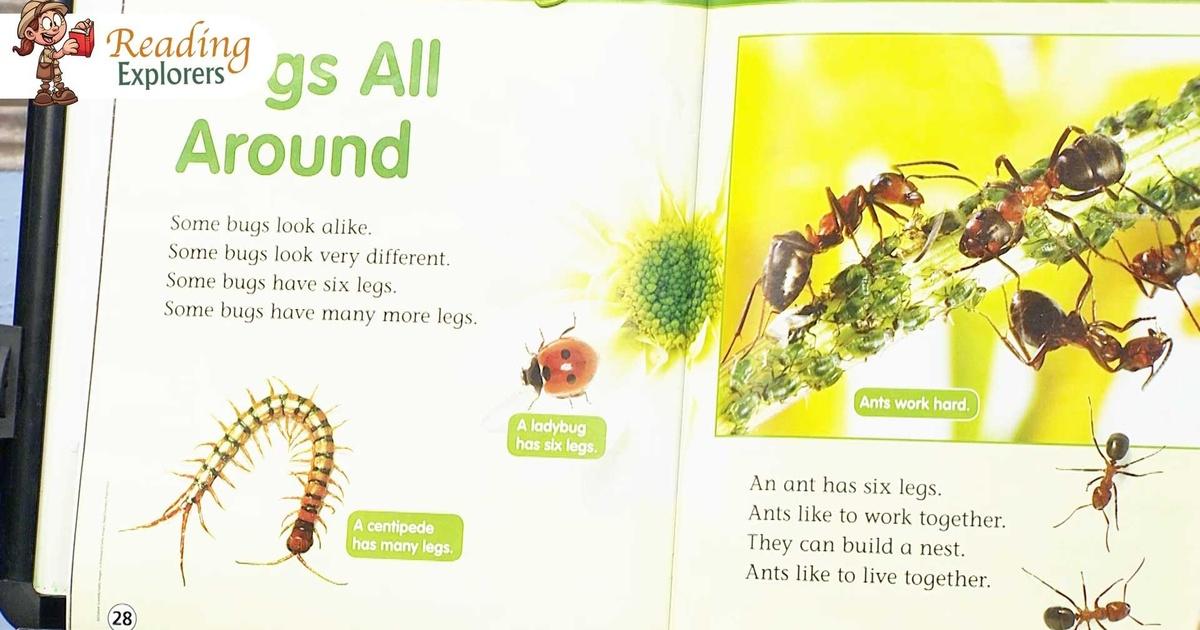 Reading Explorers | K-385: Reading Bugs All Around | Season 3 | Episode ...