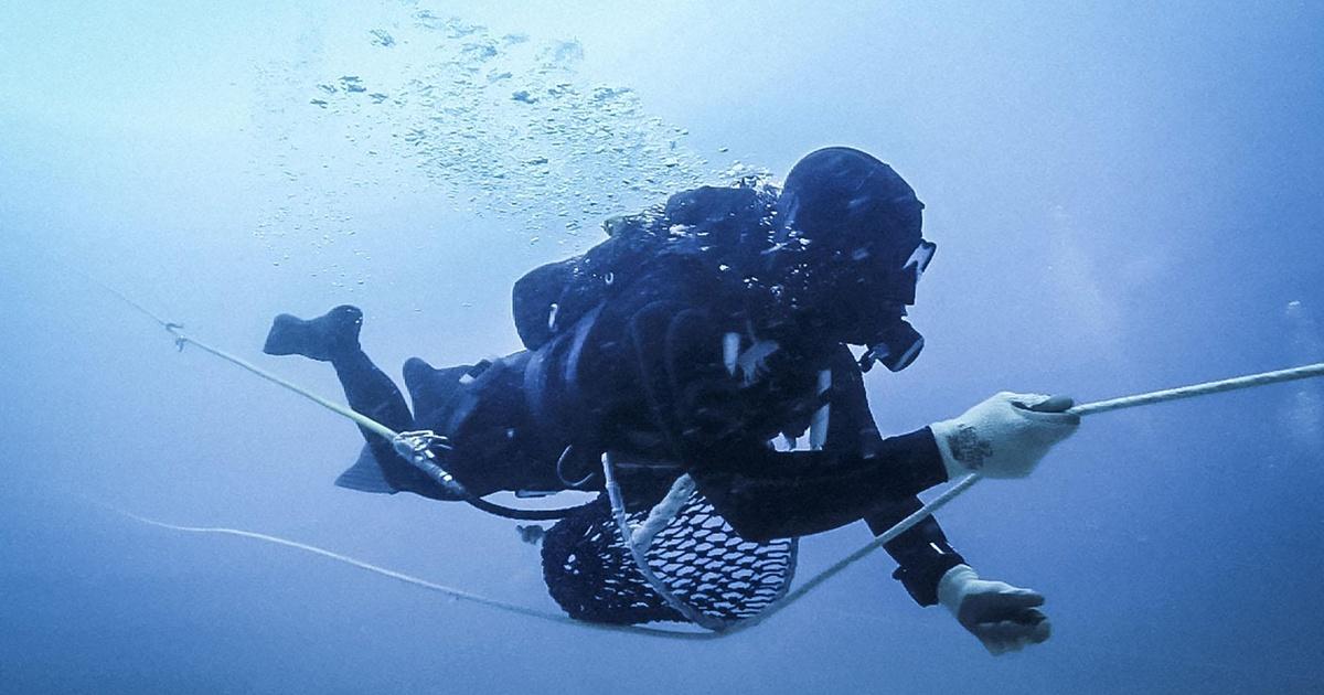 Outback | The Dry Season | Episode 2 | PBS