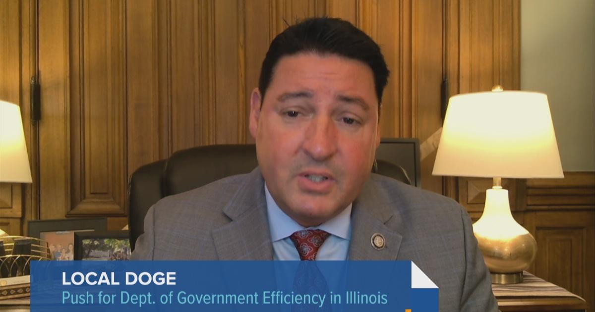 Chicago Tonight | Republican State Lawmaker Pushes for an Illinois DOGE ...