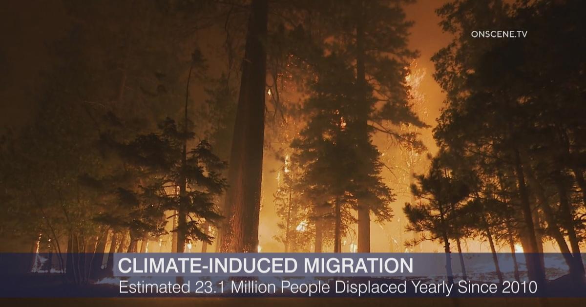 Chicago Tonight | How Climate Change Impacts US and Global Migration ...