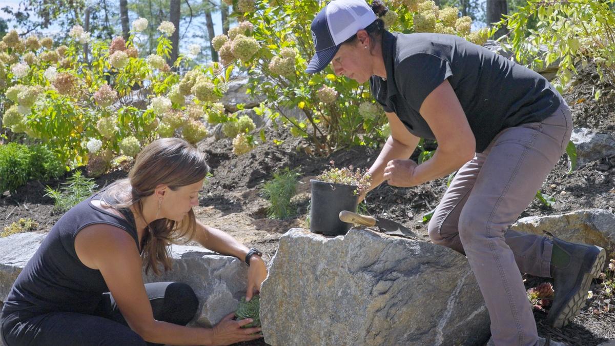 E10 | Carolina Comeback | Putting Down Roots | This Old House | WLIW