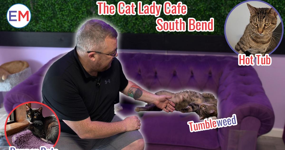 Experience Michiana | The Cat Lady Cafe South Bend | Season 2023 ...