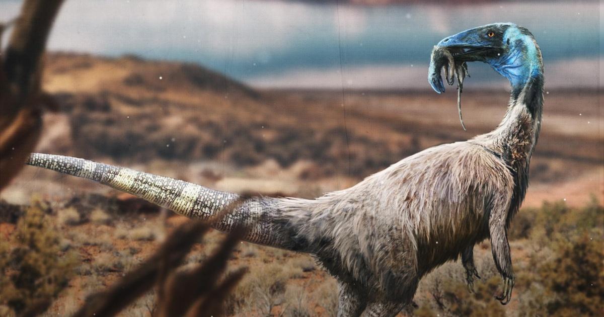 Eons | Was This Dinosaur a Cannibal? | Season 2 | Episode 32 | PBS