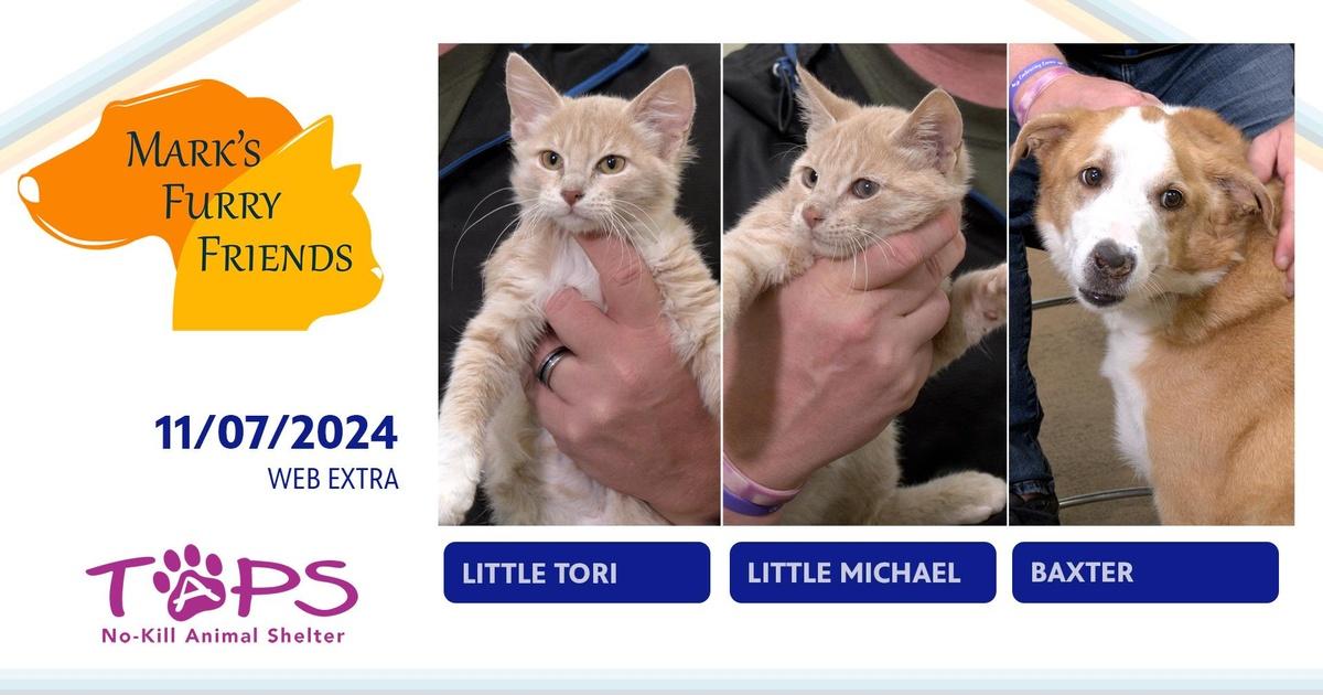 Mark’s Furry Friends | 11/07/2024 | Little Tori, Little Michael and ...