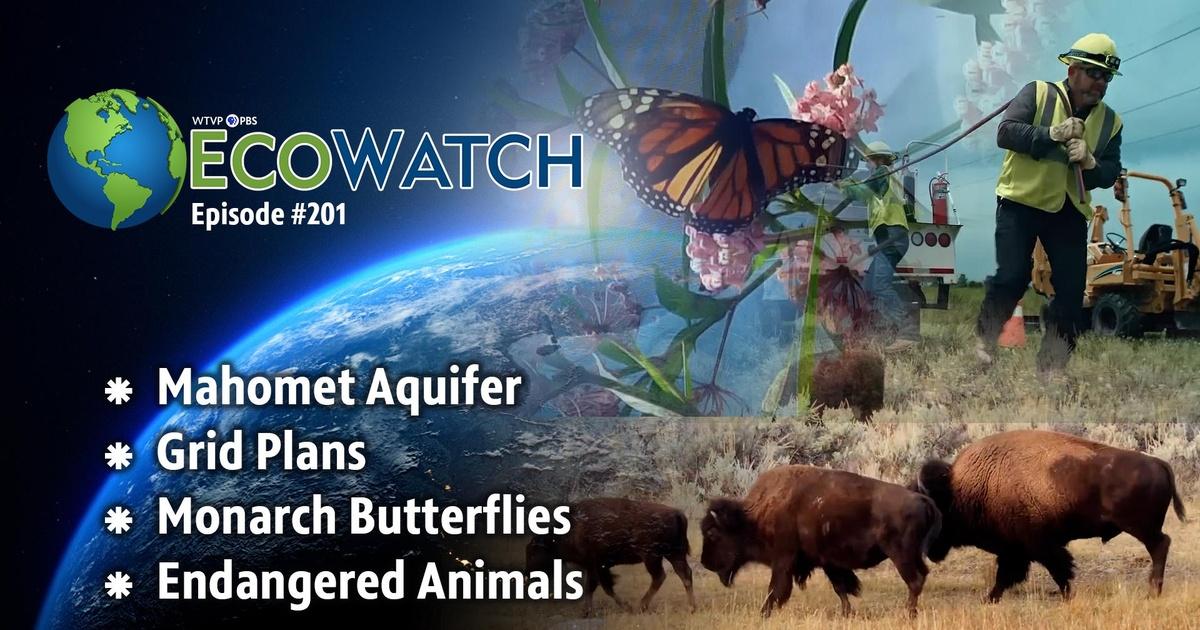 WTVP EcoWatch | Mahomet Aquifer | Grid Plans | Monarch Butterflies ...