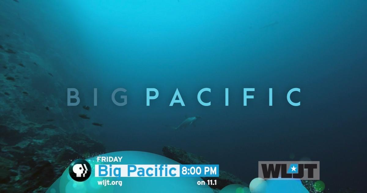 West TN PBS | Big Pacific: Mysterious | PBS
