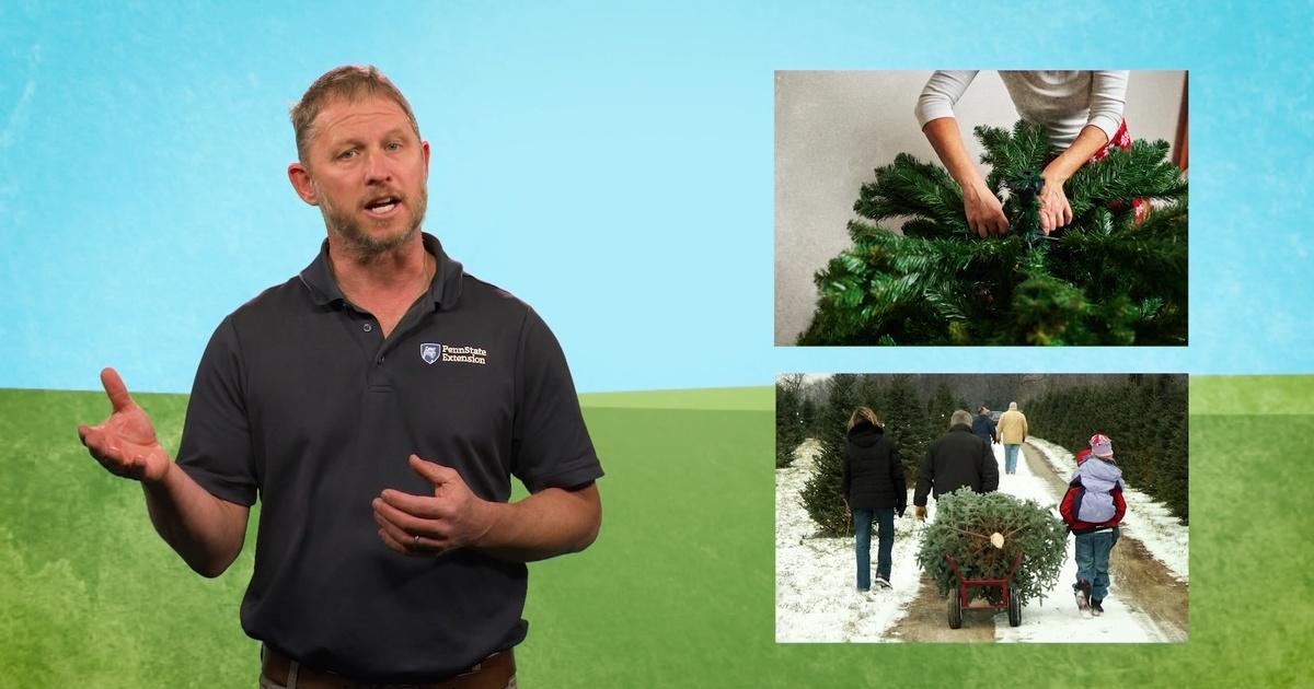 Year-Round Gardening | Living Christmas Trees | Season 2 | Episode 9 | PBS
