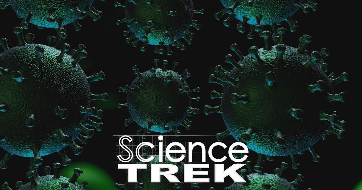 Science Trek | Viruses: Virus or Bacteria? | PBS