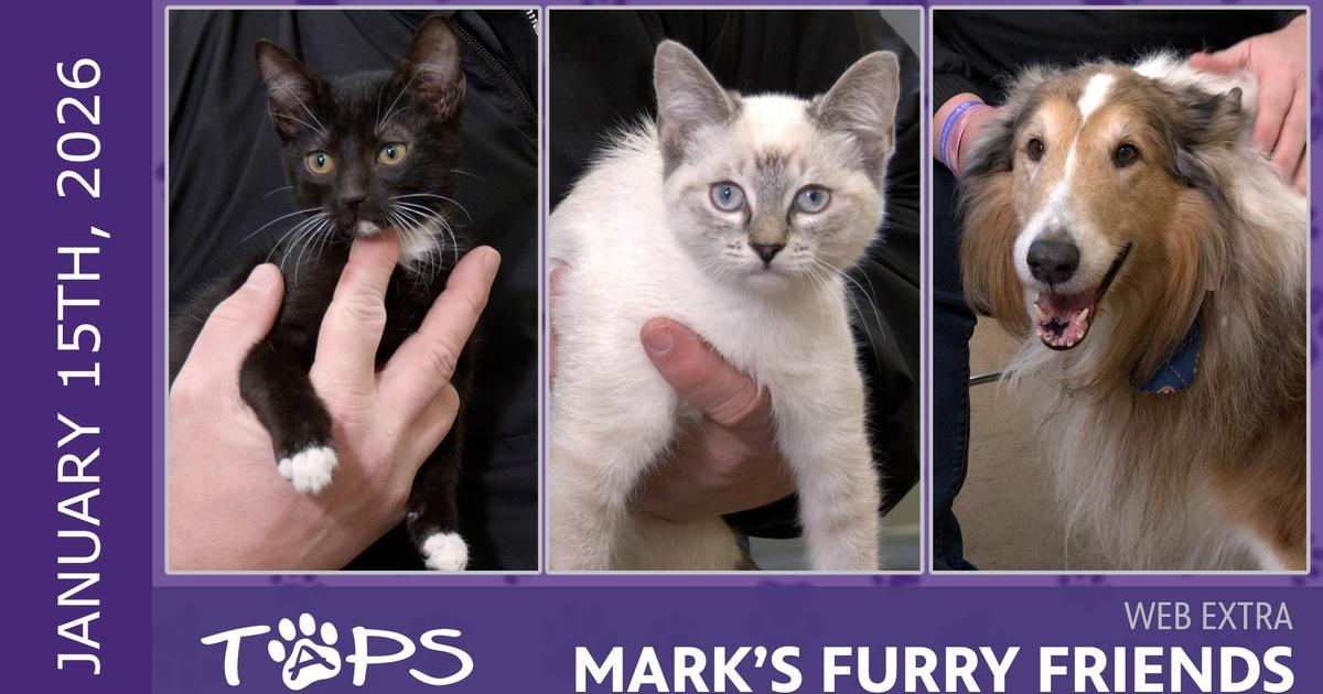 Mark’s Furry Friends | 1/15/2026 | Jingle, Wreath and Charles | Mark's ...