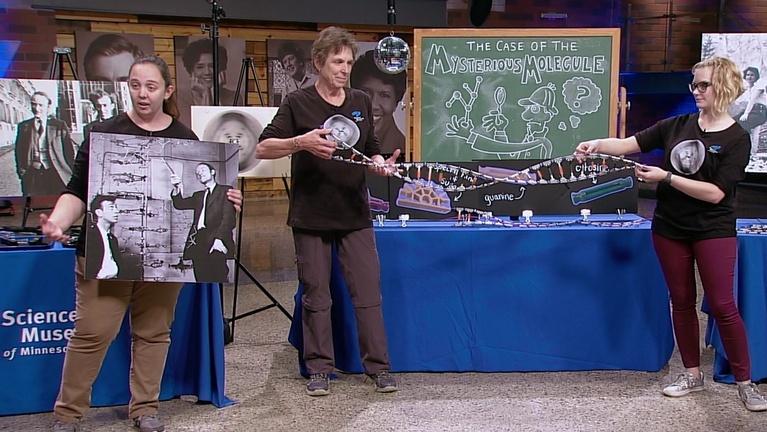 Hands-On Science | Physics Force | PBS