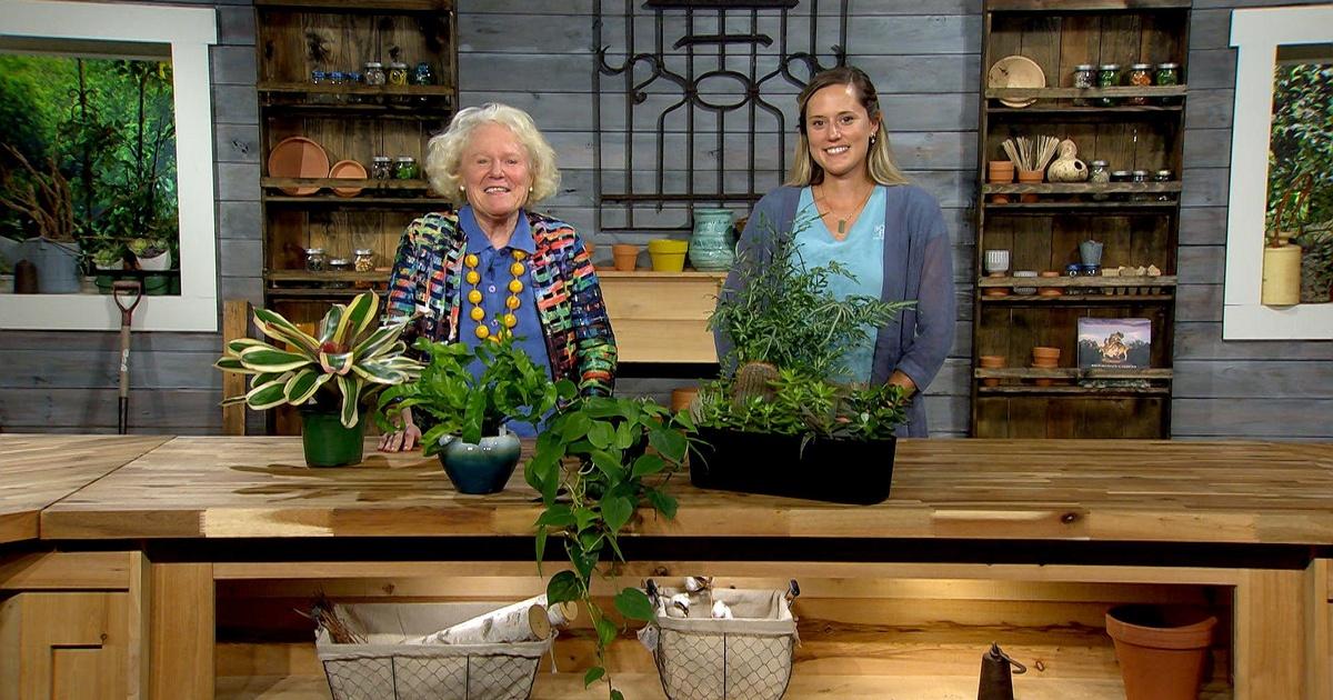 Making It Grow | Tropical Plants and Ikebana Arrangement | Season 2025 ...
