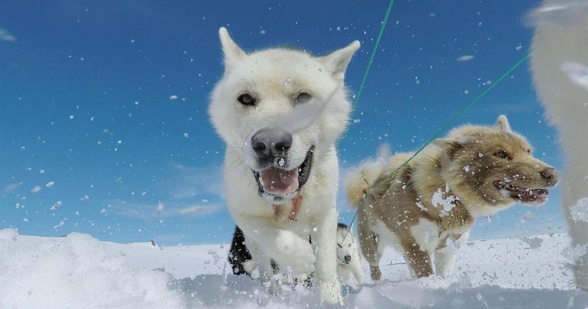 Expedition | Husky Ride | Season 1 | Episode 2 | PBS