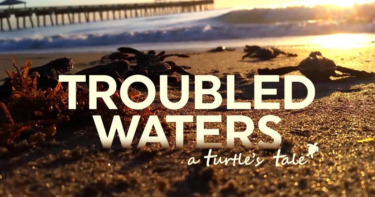 WLRN Documentaries | PBS