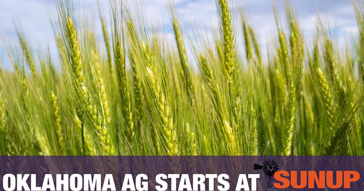 SUNUP | SUNUP - April 26, 2025 | Season 17 | Episode 40 | PBS