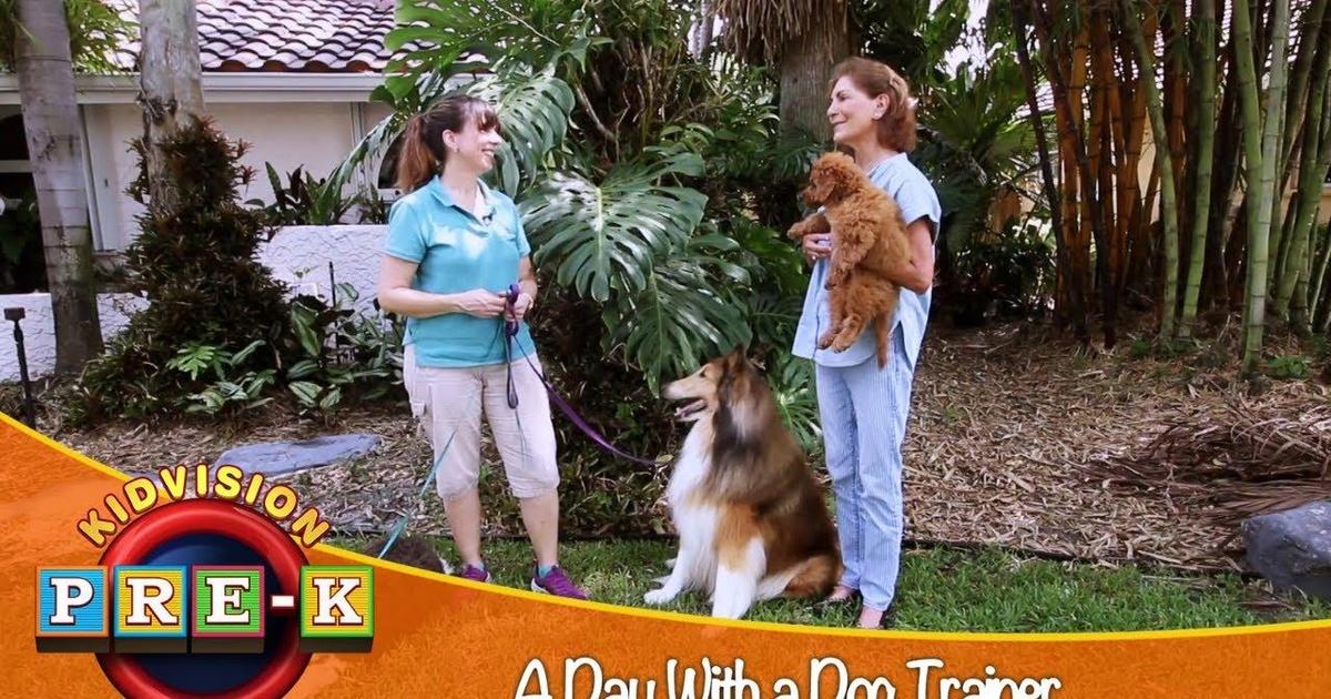 KidVision Pre-K | A Day With a Dog Trainer | Virtual Field Trip ...