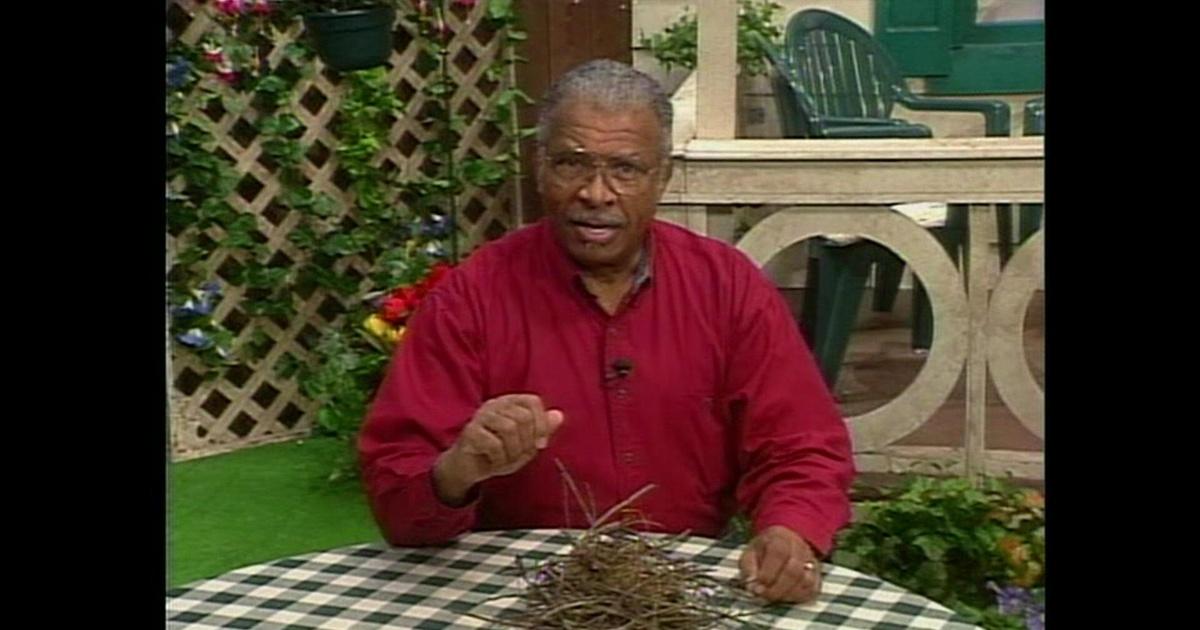 Hello, Mr. Chuck! | Building | Season 2 | Episode 11 | PBS