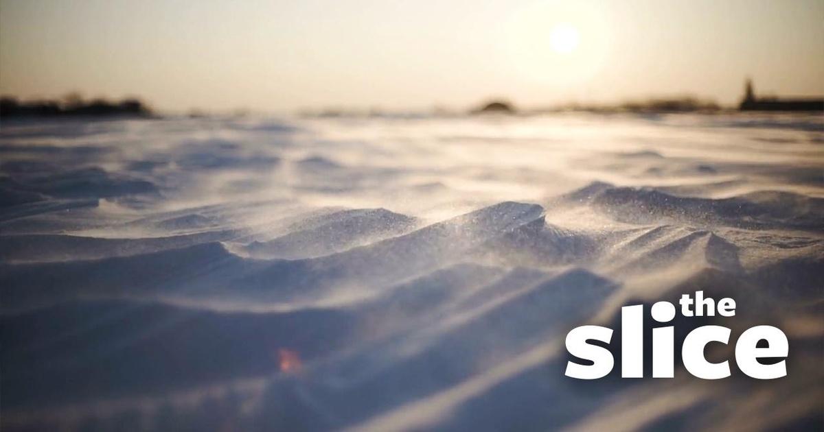 The Slice | Book Across the Bay 2025! | Season 2025 | PBS