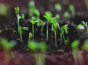 NOVA | Beyond the Elements: Indestructible | Season 47 | Episode 18 | PBS