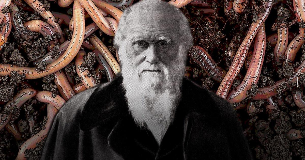 Eons | Darwin's Unexpected Final Obsession | Season 7 | Episode 21 | PBS